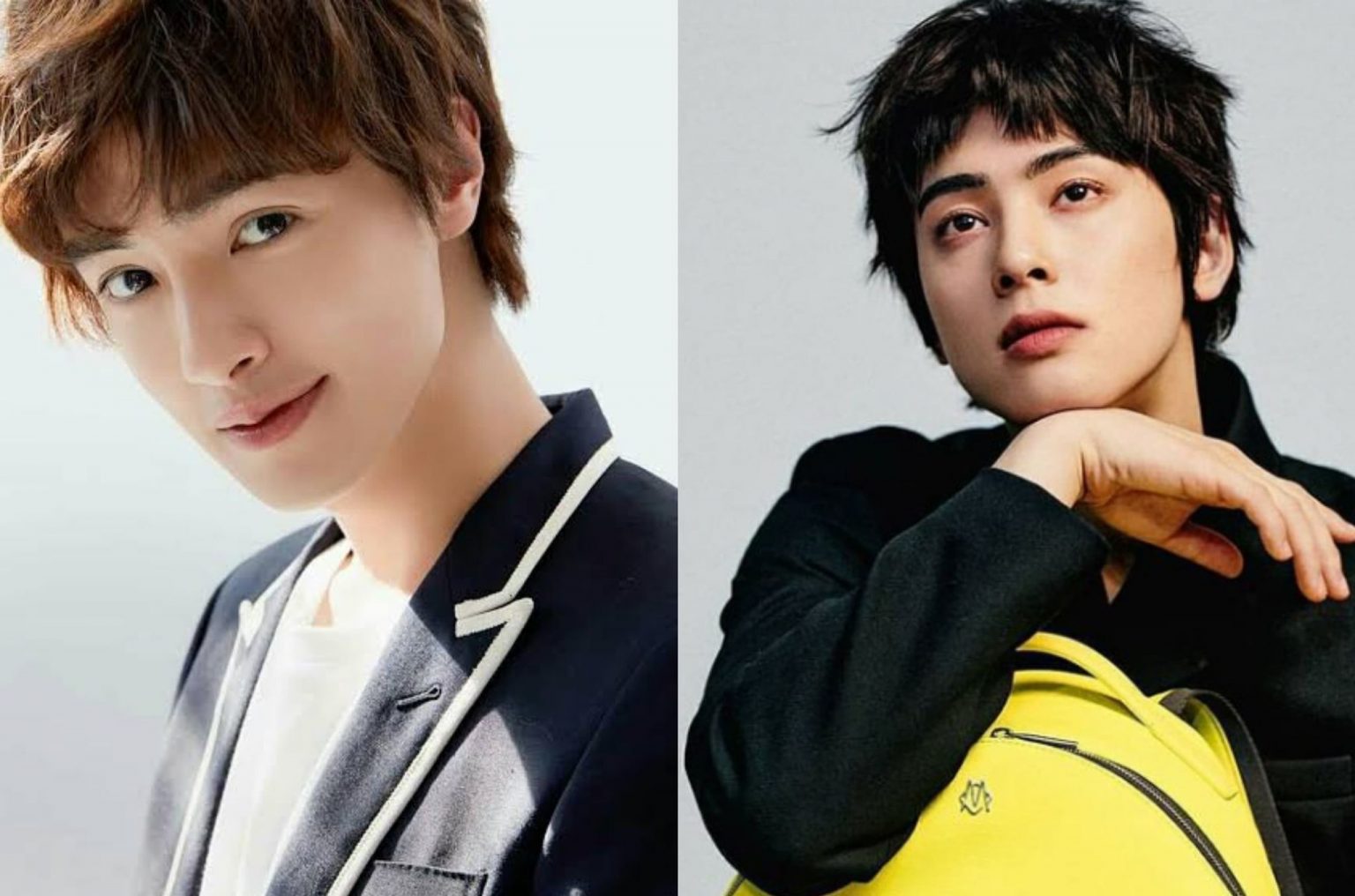 Celebridades que tienen un parecido impresionante con Cha Eun Woo de ...